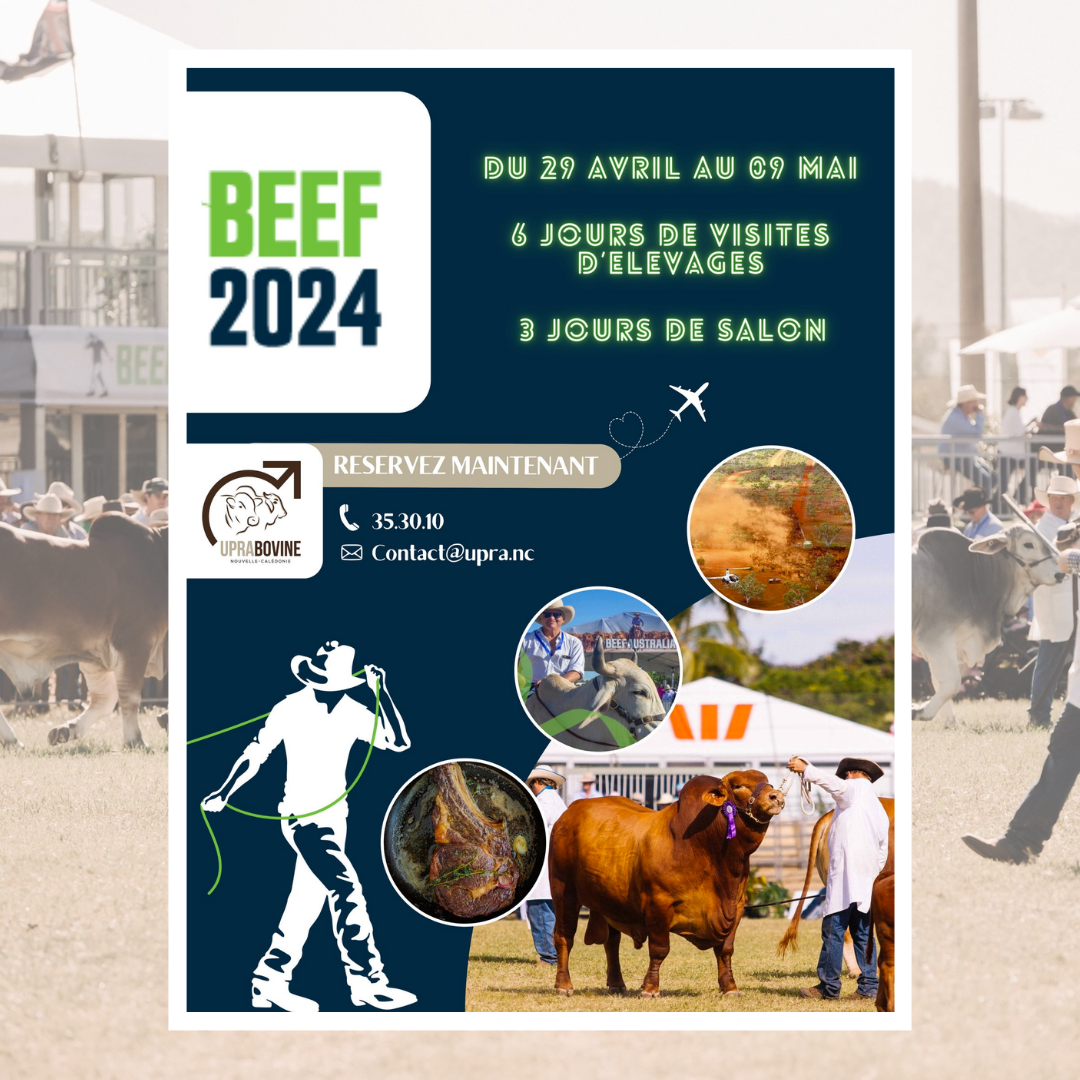 BEEF 2024 | Agriconnect